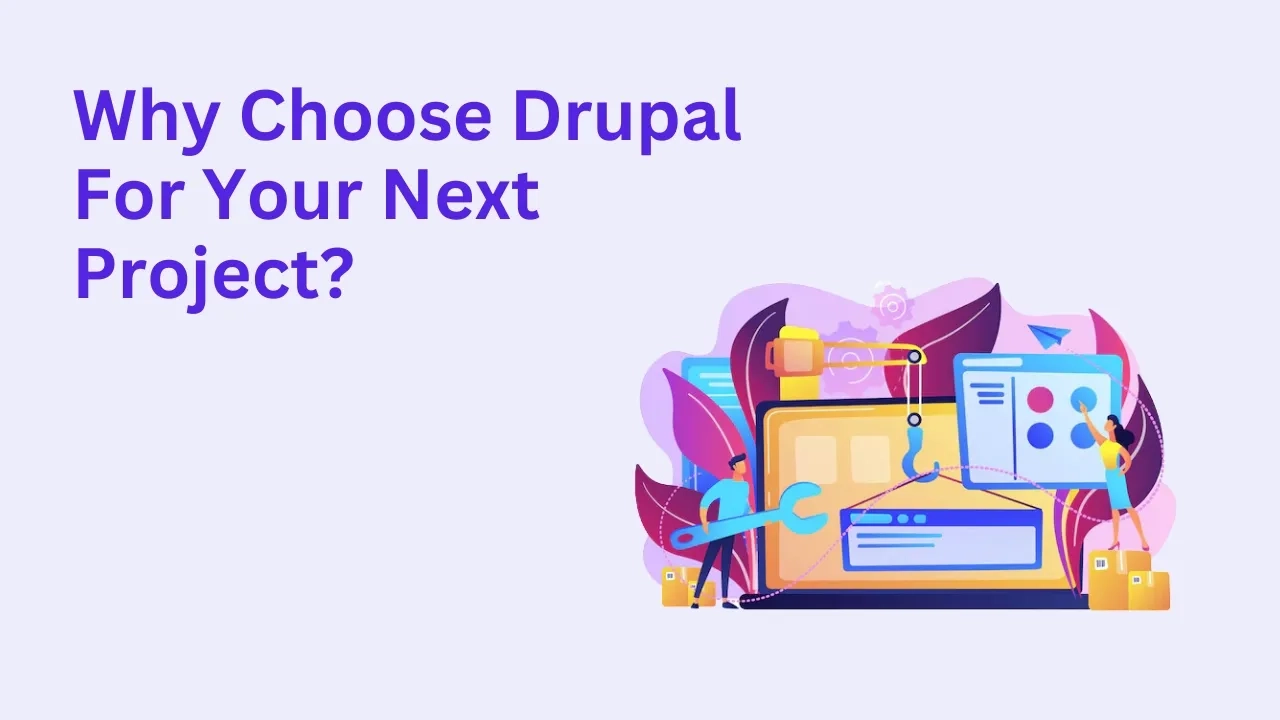Why Choose Drupal for Your Next Project?